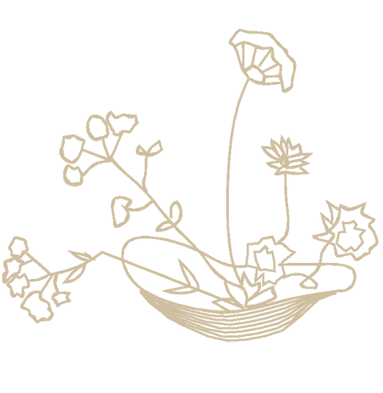 Klein Designs – shopkleindesigns